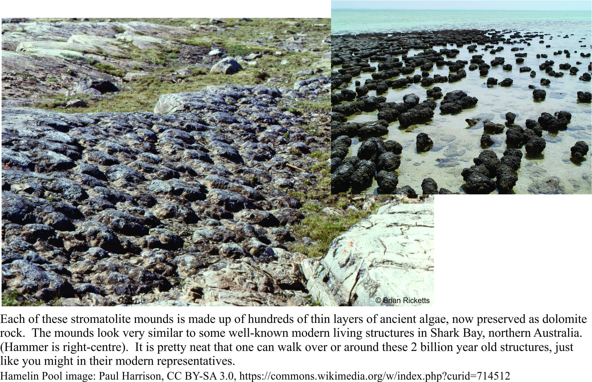 gypsum pseudomorphs Archives - Geological Digressions