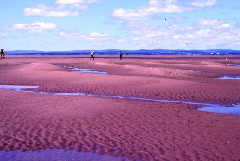 groove casts Archives - Geological Digressions