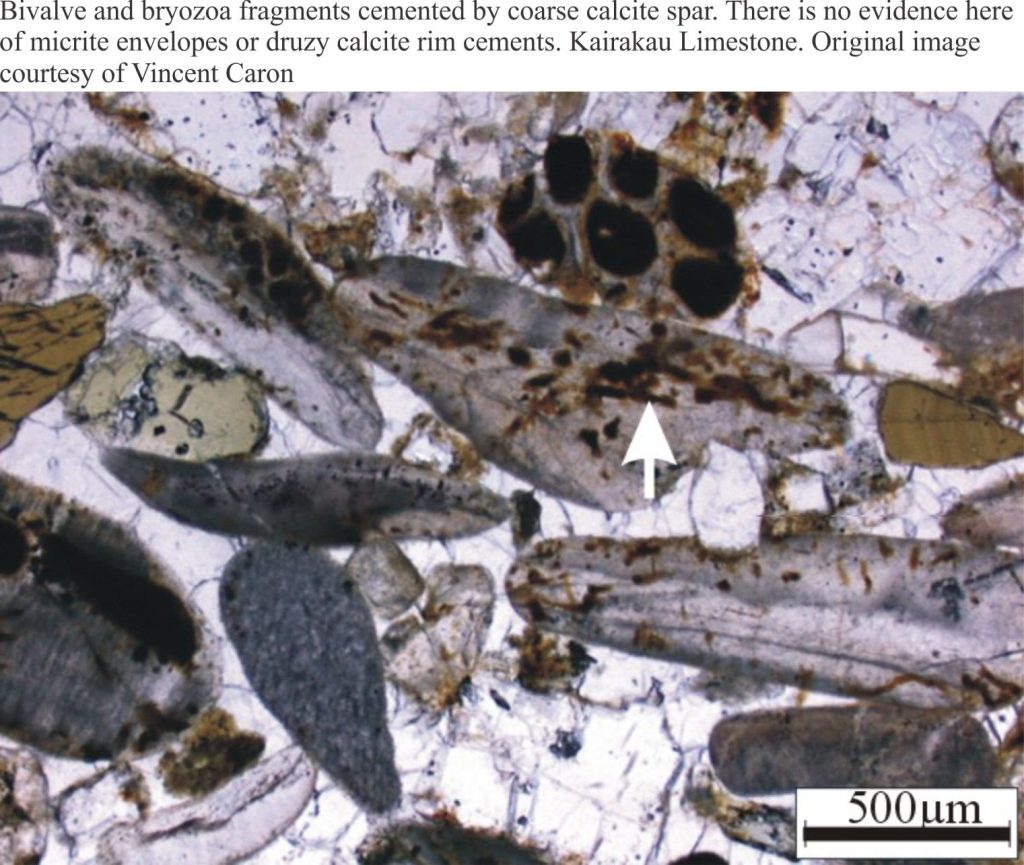 micrite envelope Archives - Geological Digressions