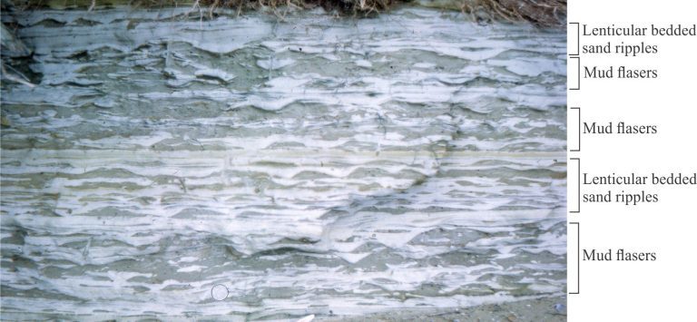lenticular and flaser bedding Archives - Geological Digressions
