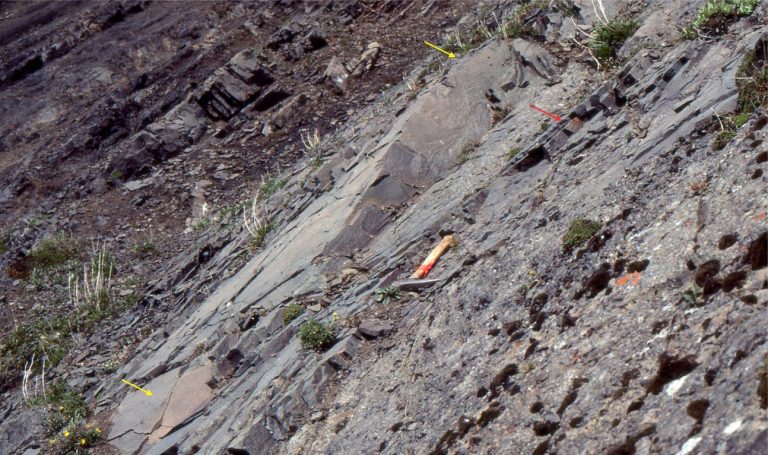 Hummocky & swaley cross-stratification - Geological Digressions